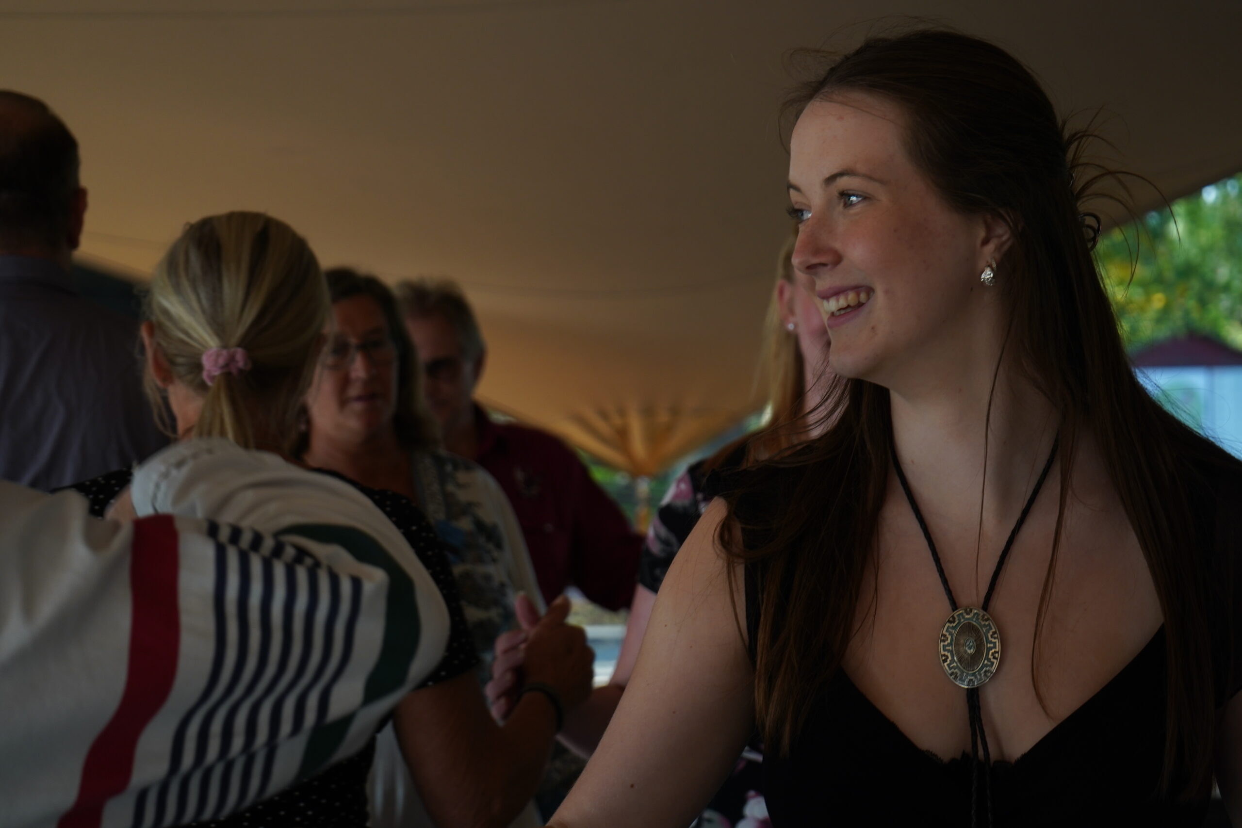 National Square dance day - Skansen